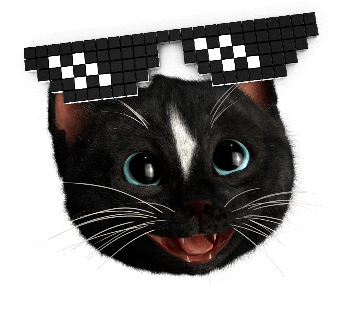 Cat Gif Funny Cartoon Memes Infoupdate