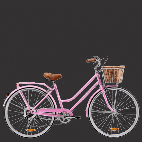 Vintage Bike GIFs - Get the best GIF on GIPHY