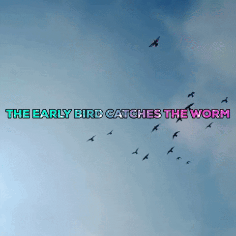 Early Bird Gets The Worm Gif