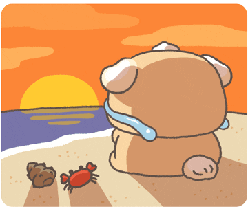 Dog Ocean GIFs - Get the best GIF on GIPHY