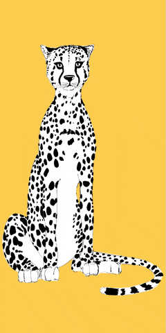 Party Leopard GIFs - Get the best GIF on GIPHY