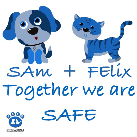 We-are-safe GIFs - Get the best GIF on GIPHY