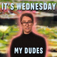 Its-wednesday-my-dudes GIFs - Get the best GIF on GIPHY