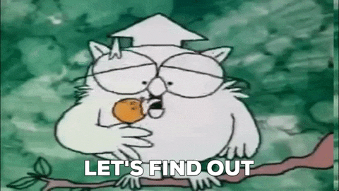 Owl GIF by Zack Kantor - Find & Share on GIPHY