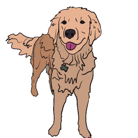 Creekside Pet Boarding GIFs on GIPHY - Be Animated