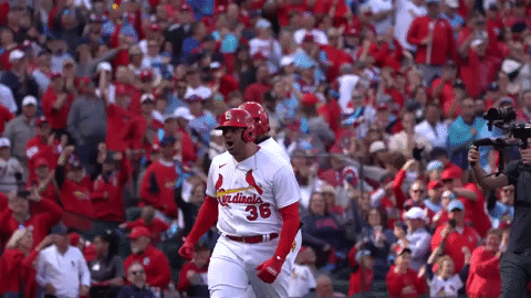 St Louis Cardinals Sport GIF by MLB - Find & Share on GIPHY