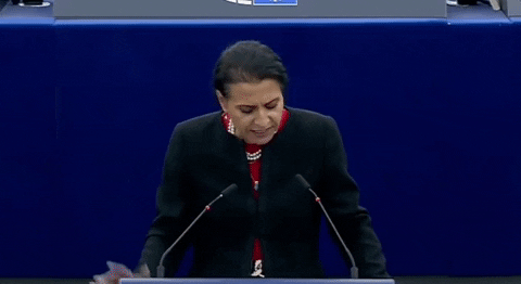 International GIFs - Find & Share on GIPHY