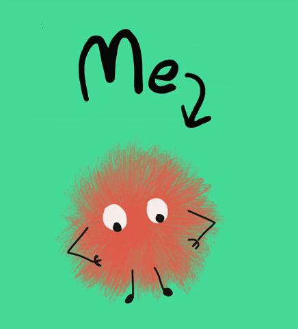 Bizzy GIFs - Get the best GIF on GIPHY