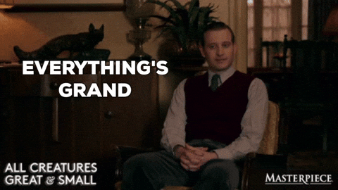 Everythings Great GIFs - Get the best GIF on GIPHY