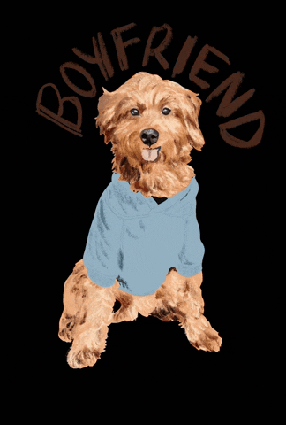 Golden Doods GIFs - Get the best GIF on GIPHY