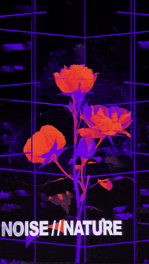 Noisenature GIFs - Get the best GIF on GIPHY