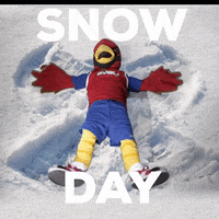 Snow Day Gif