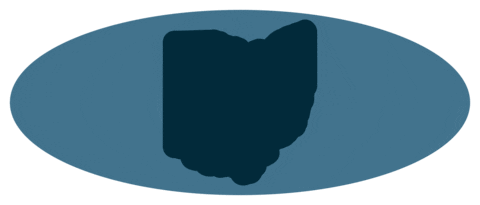 Ohio Democrats GIFs on GIPHY - Be Animated