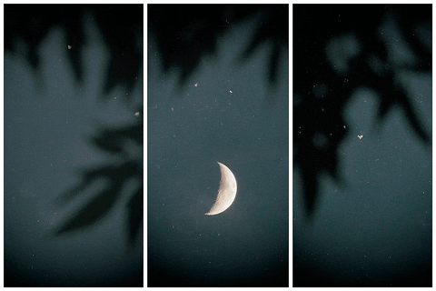 Sol E Lua GIFs - Get the best GIF on GIPHY