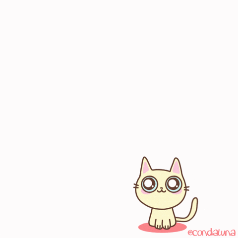 Rawr Cat Gif