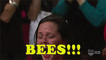 Oprah Bees GIFs on Giphy