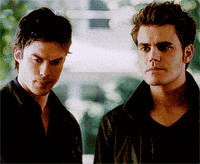 Stefan Salvatore Smiling Gif