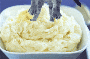 Mashed Potatos GIFs - Get the best GIF on GIPHY