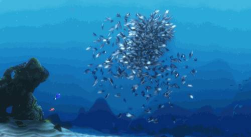 Dory From Finding Nemo GIFs - Get the best GIF on GIPHY