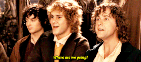 Where Are We Going GIFs - Find & Share on GIPHY