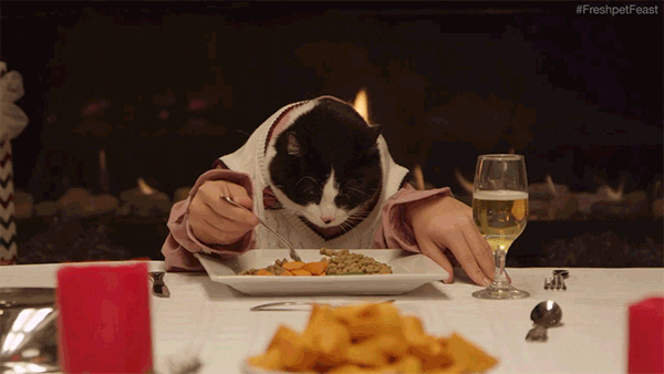 Cat Dinner GIFs - Get the best GIF on GIPHY