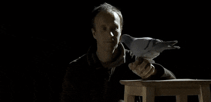 Anytime Predator GIFs - Find & Share on GIPHY