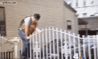 Jumping Fence GIFs - Find & Share on GIPHY