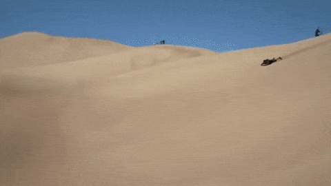 Sand Dude GIFs - Get the best GIF on GIPHY