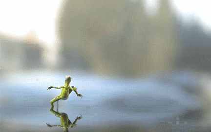 Frog Walk GIFs - Get the best GIF on GIPHY