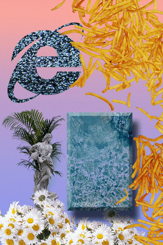 Internet Explorer GIFs - Find & Share on GIPHY