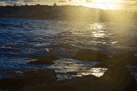 Best waves GIFs - Primo GIF - Latest Animated GIFs