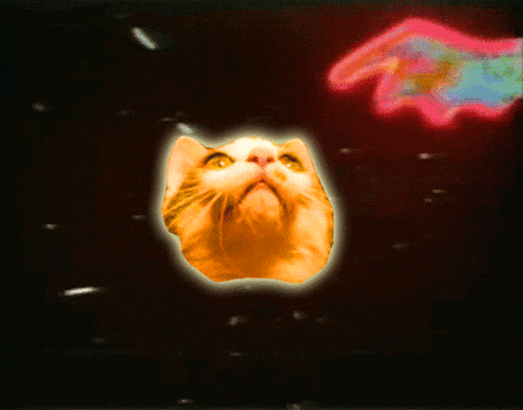 1055-fm GIFs - Get the best GIF on GIPHY