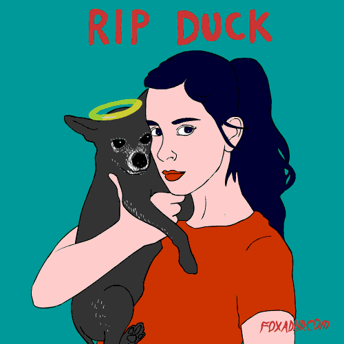 Rest In Peace Dog GIF by Animation Domination High-Def - Find & Share ...