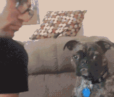 Dog Breath GIFs - Find & Share on GIPHY