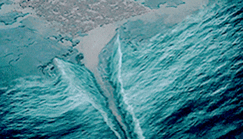 Red Sea GIFs - Get the best GIF on GIPHY