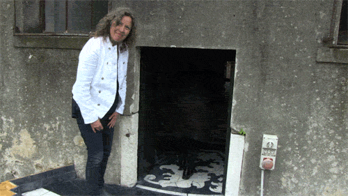 Icelandic Pavilion GIFs - Get the best GIF on GIPHY