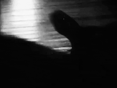 Spasming GIFs - Get the best GIF on GIPHY