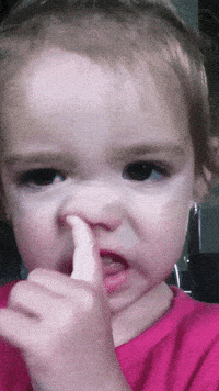 Picking Nose Gif