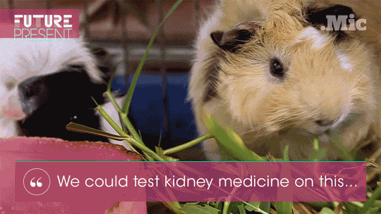 Medicine Testing GIFs - Get the best GIF on GIPHY