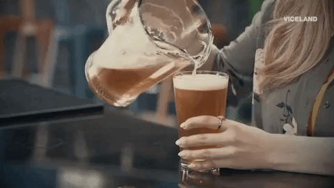 Beer GIF by BEERLAND - Find & Share on GIPHY