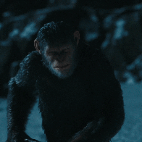 Planet Of The Apes GIF by 20th Century Fox Home Entertainment - Find ...