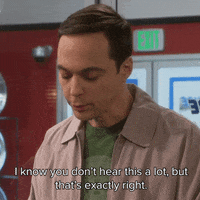 Sheldon Yes To All Gif