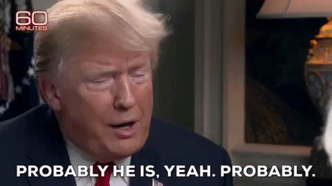 Donald Trump Interview GIFs - Get the best GIF on GIPHY