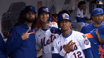 New York Mets GIFs on GIPHY - Be Animated