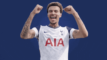 London Football GIF by Tottenham Hotspur - Find & Share on GIPHY