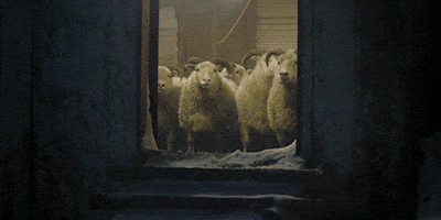 LAMB GIFs on GIPHY - Be Animated