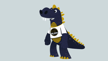 Stavanger Oilers GIFs on GIPHY - Be Animated