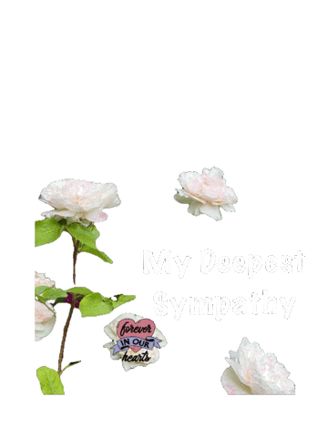 Deepest Sympathy Stickers - Find & Share on GIPHY