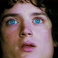 Frodo Smile Gif