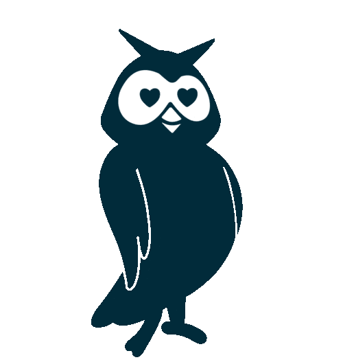 Hootsuite Owl